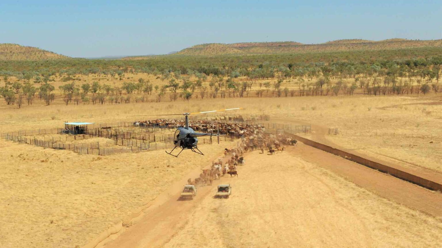 NT Helicopter Services | Mustering, Scenic Flights & Aerial Work